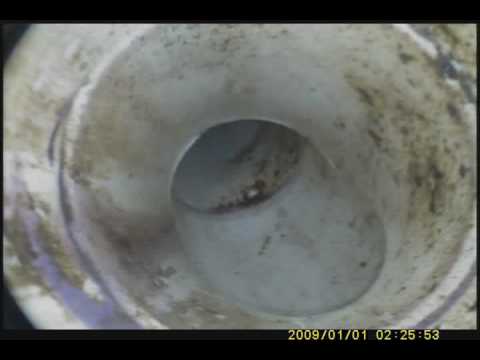 mendez main to girls bath