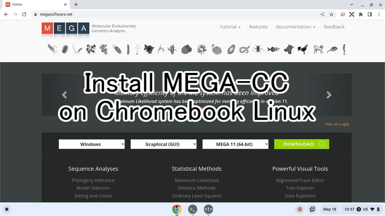 Install MEGA-CC on Chromebook Linux - YouTube