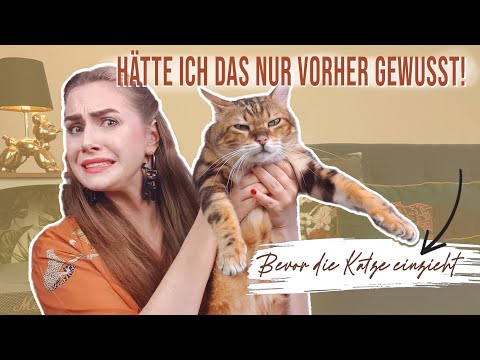 Top 10 Dinge, die du wissen solltest, BEVOR du eine Katze adoptierst / Katzenfakten