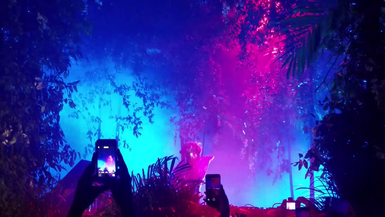 Bjork dj set art Basel Miami 2017 - YouTube