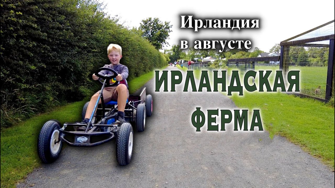 Ирландия🇮🇪Ирландская Ферма/Кого разводят на Ферме/Кормим Животных/Чем ...