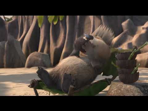 Surf's Up - Aloha Oe