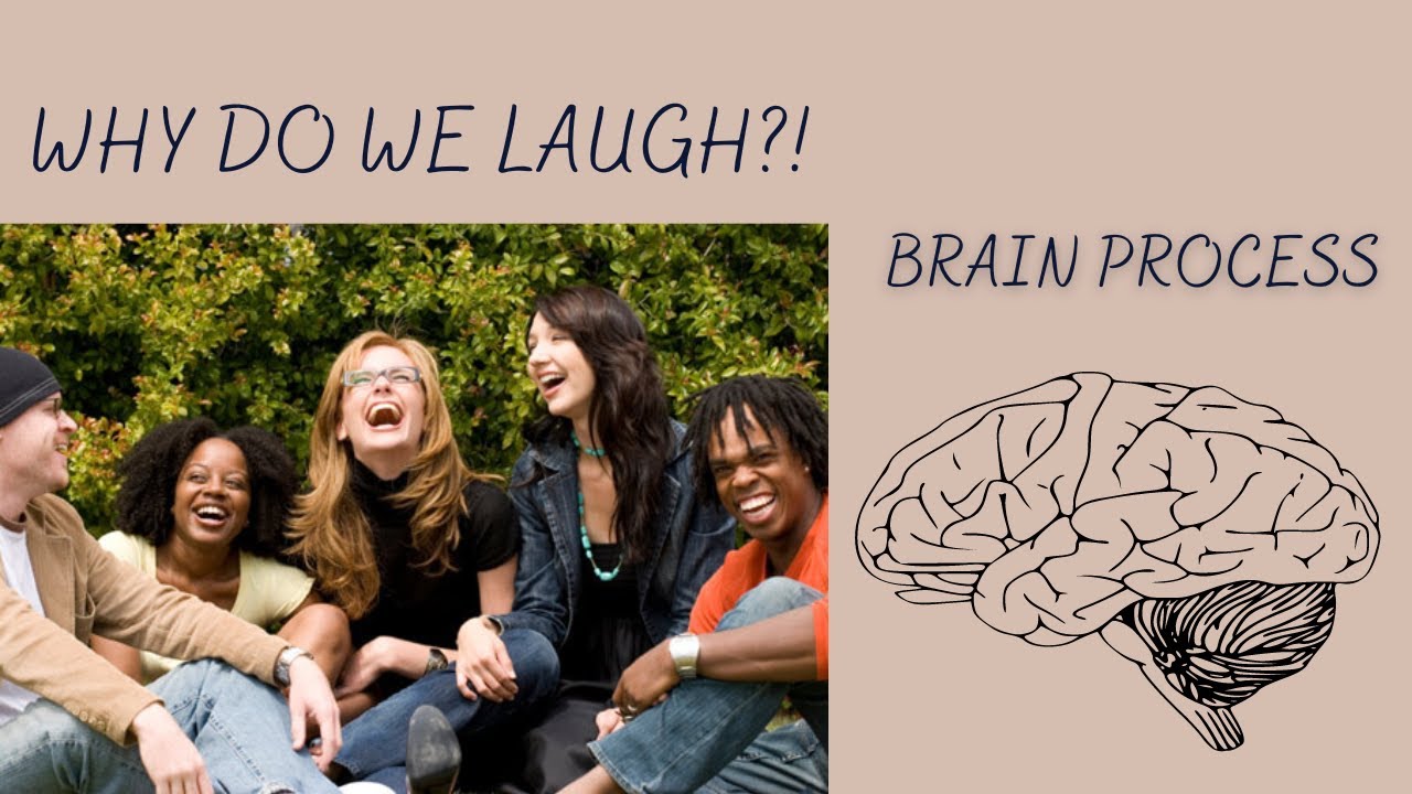 ليه بنضحك ؟ | Why do we laugh? #laugh #الضحك 🧐 - YouTube
