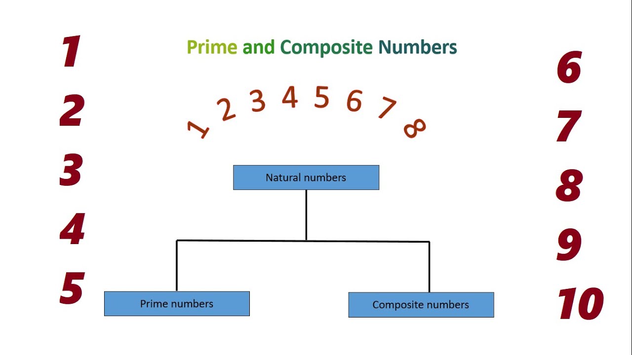 Prime and Composite Numbers - YouTube