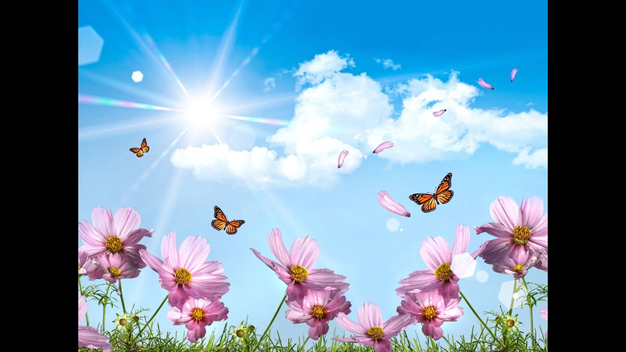 Spring/Summer Meditation Music - YouTube
