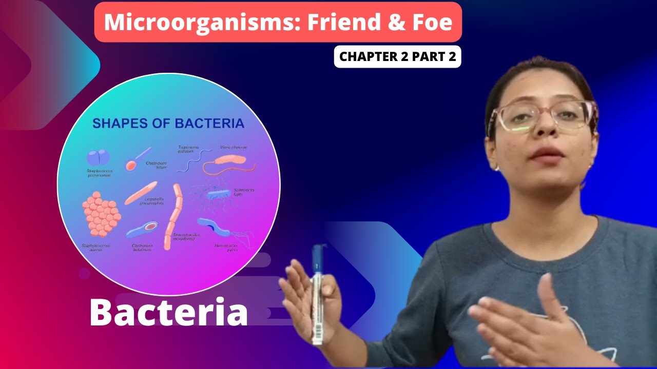Microorganisms: Friend & Foe l सूक्ष्मजीव: मित्र और शत्रु l Bacteria l ...