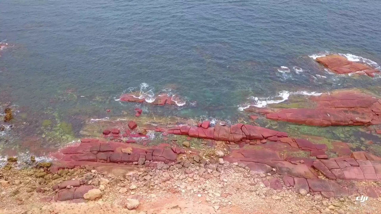 Point Labatt Sea Lion Colony - YouTube