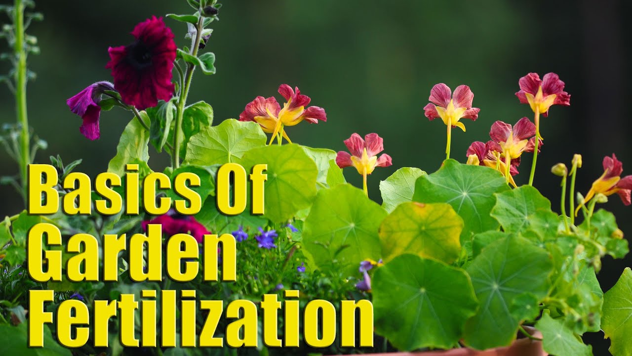 Basics Of Garden Fertilization | The Key To Great Gardens & Good Food ...