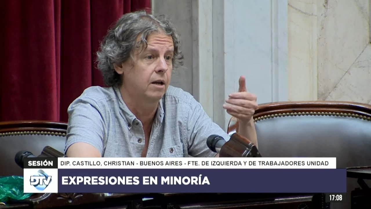 Diputado Castillo, Christian - FIT-U - DNU 846/24 - Expresiones en ...