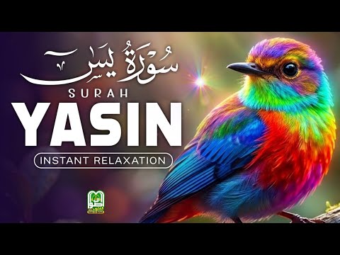 Surah Yaseen Full 🌿📖 | Beautiful & Peaceful Recitation by Ashraf Hussain 🎙️ | Heart-Soothing Quran