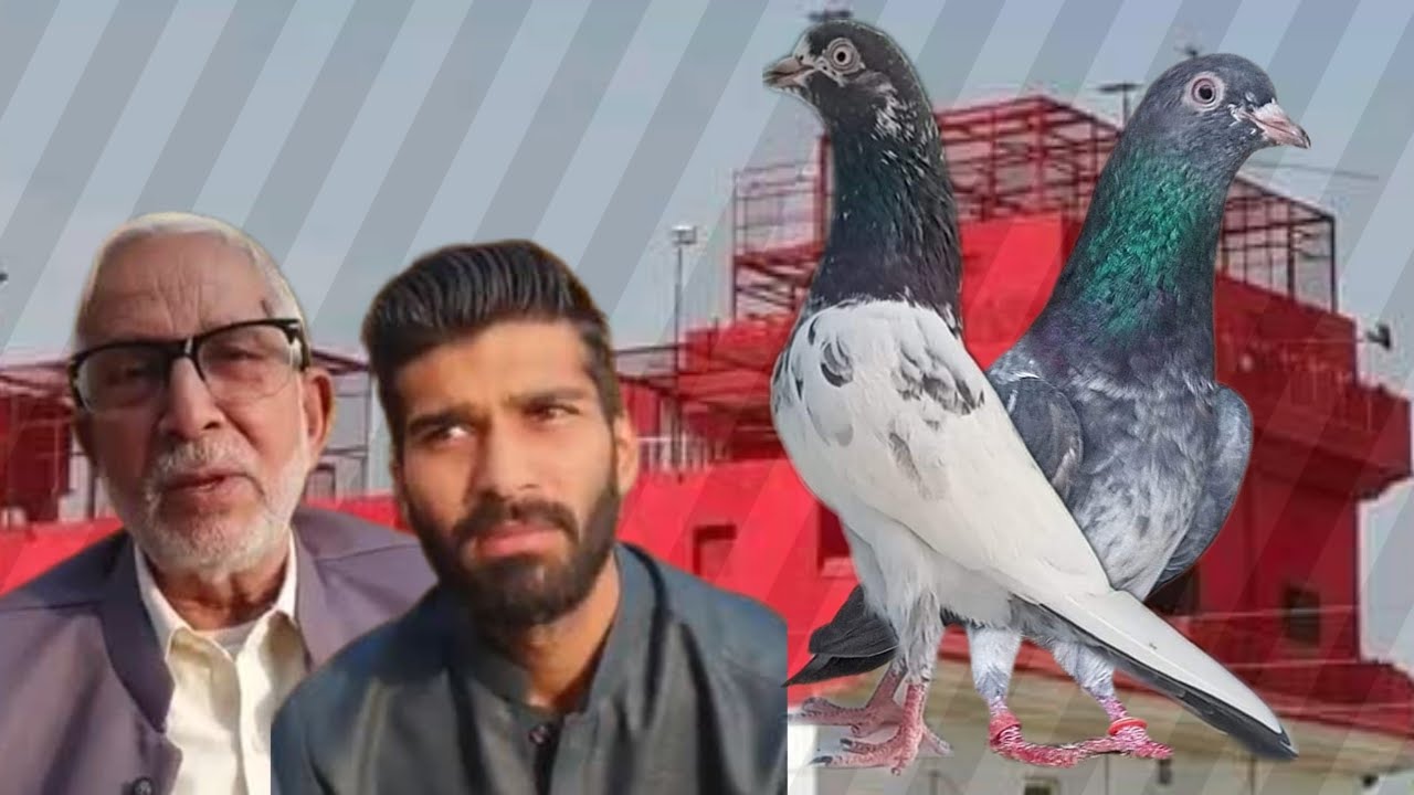 Ustad Lala Muhammad Yusuf Sahib ki chat se pigeons shoq - YouTube