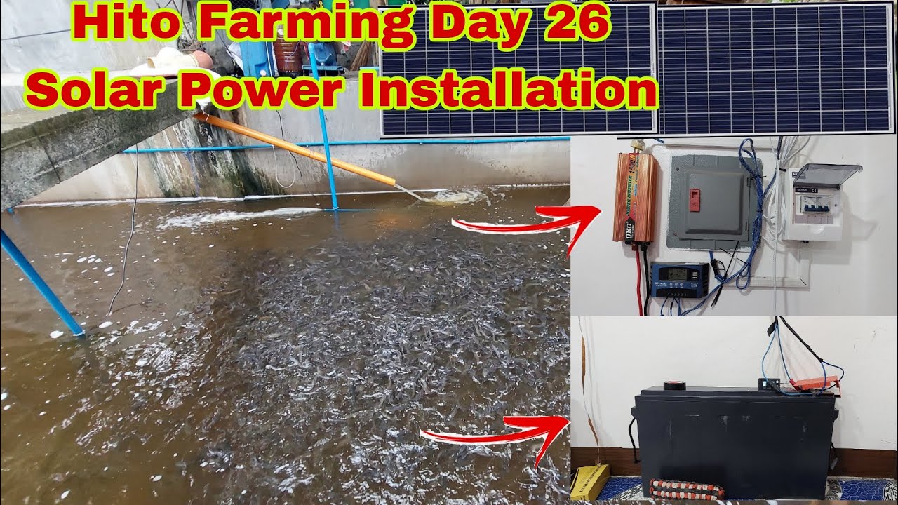 Solar Power Installation for Aerators and Water pump in Hito Farming - YouTube