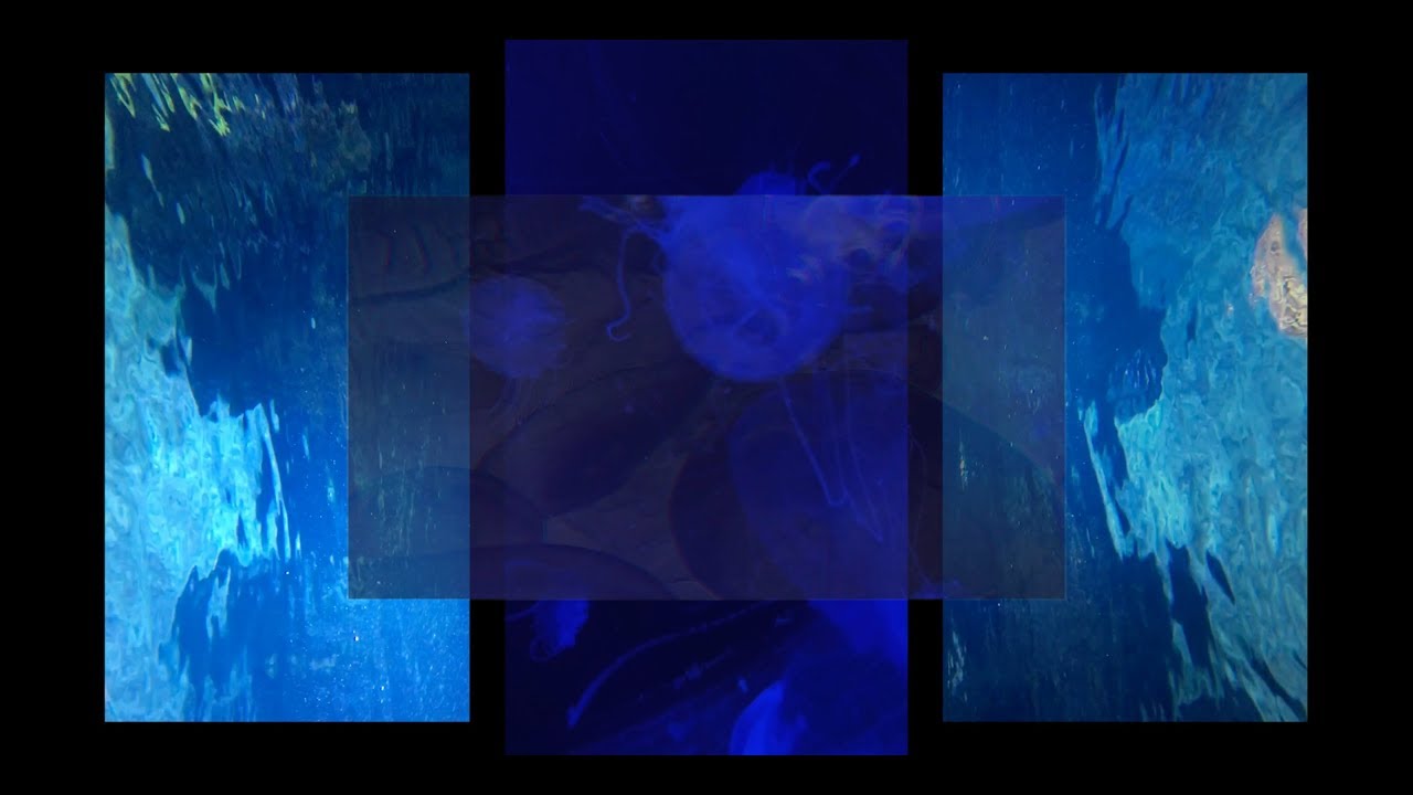 CHAT NOIR / HYPERURANION - N4 - YouTube