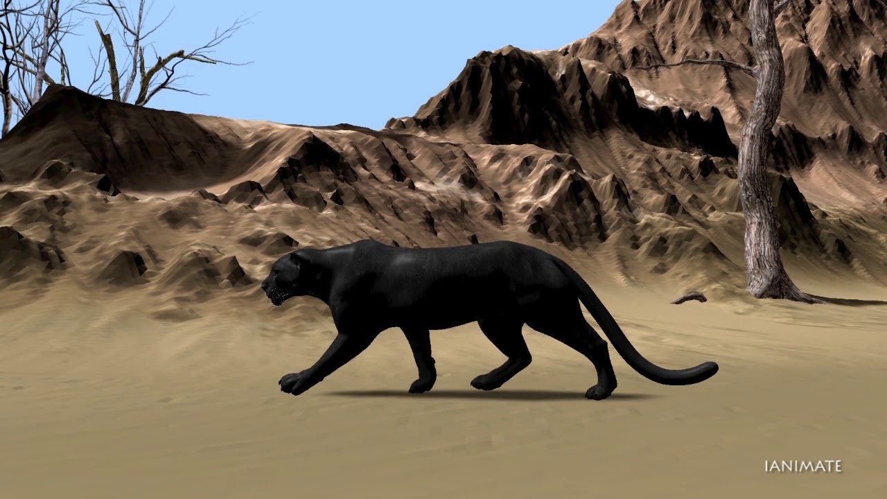 Reel Creatures. Salomé Rivas - YouTube