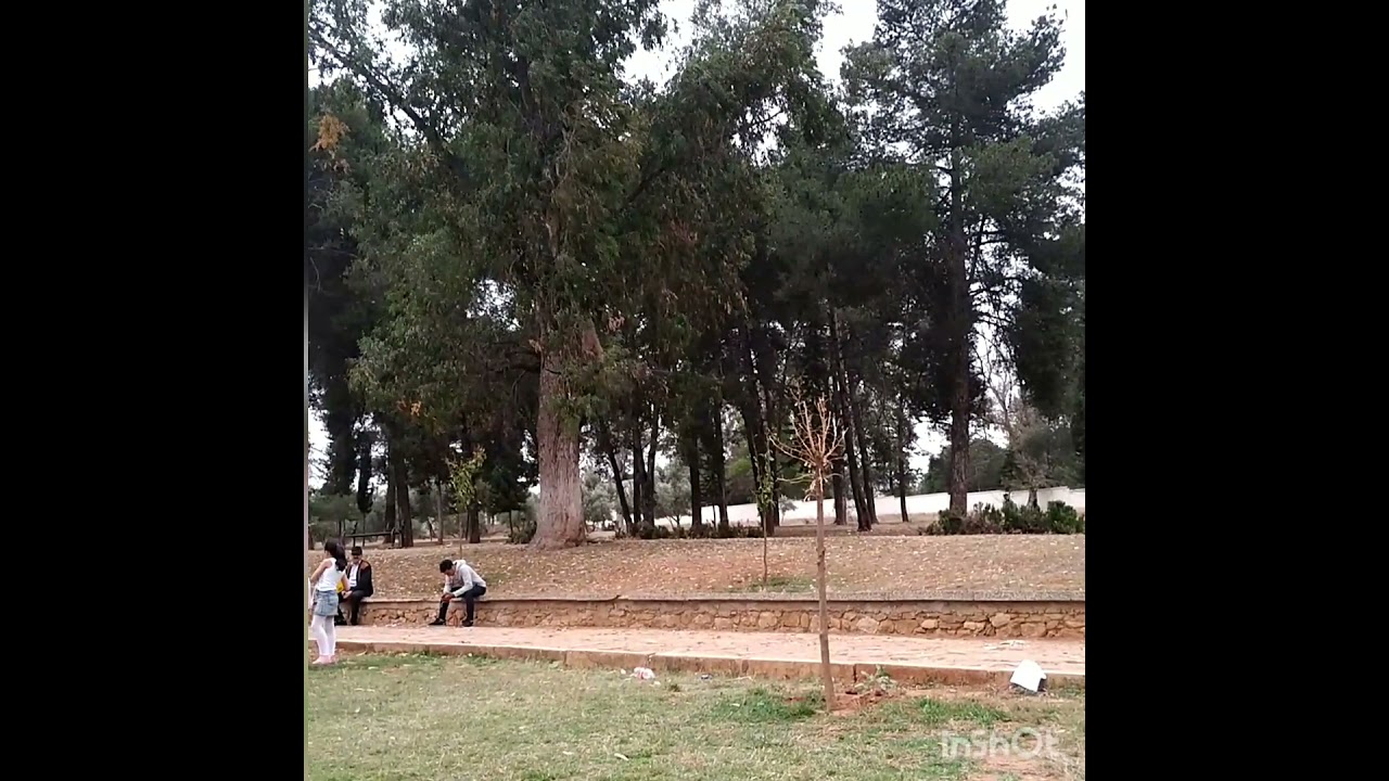 la forêt l'agora a meknes - YouTube