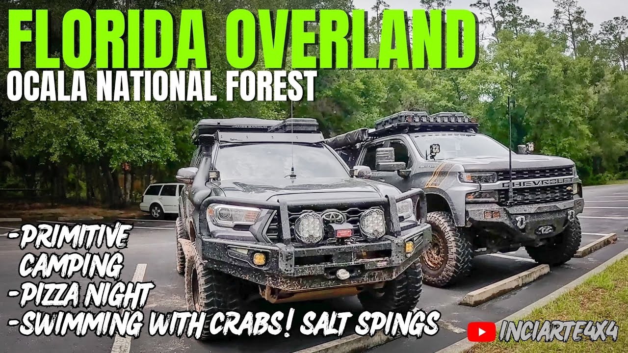 Overlanding in Ocala National Forest with Full Size Truck - YouTube