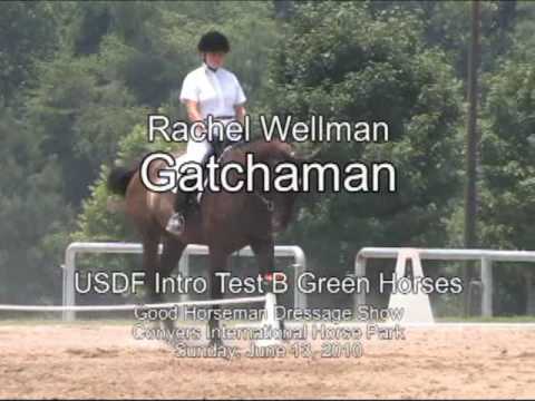 Rachel Wellman and Gatchaman - YouTube