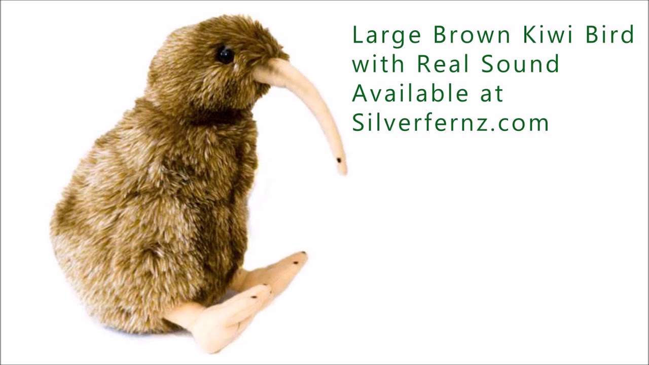 Large New Zealand Brown Kiwi Soft Toy with Real Sound - YouTube