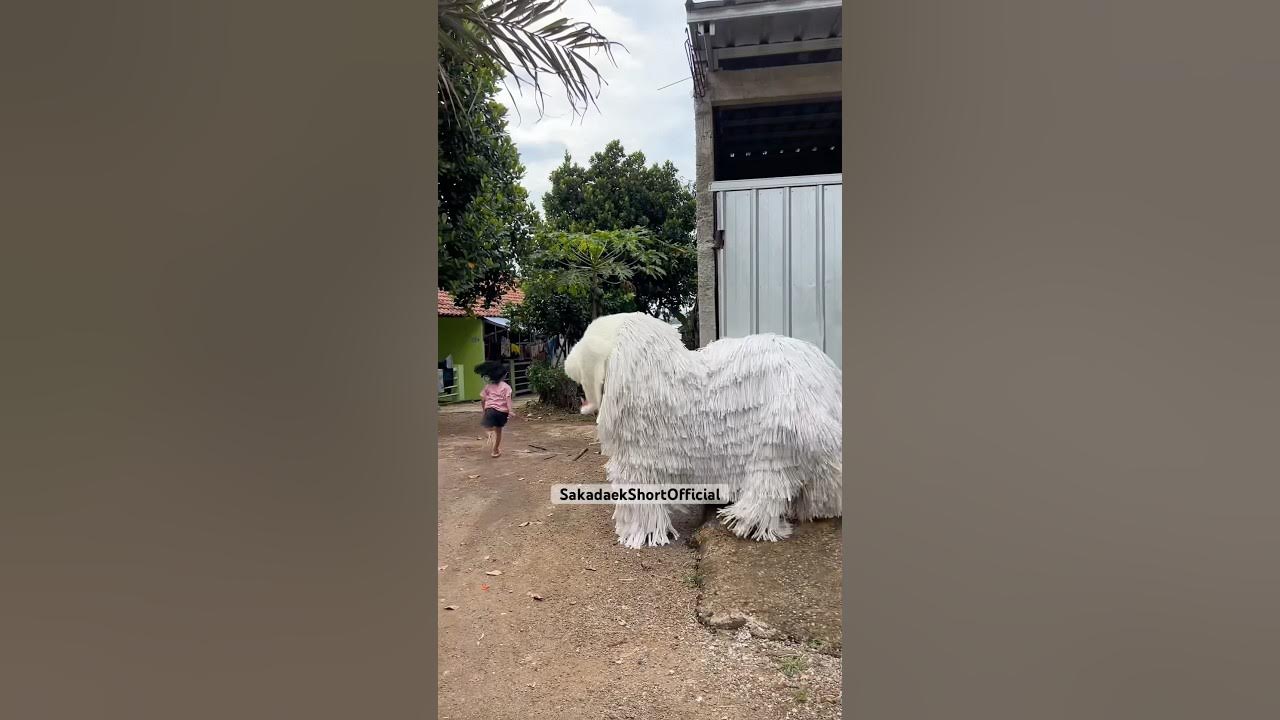 Bocil Cantik DiKagetin CAN MACANAN Depan Garasi - YouTube