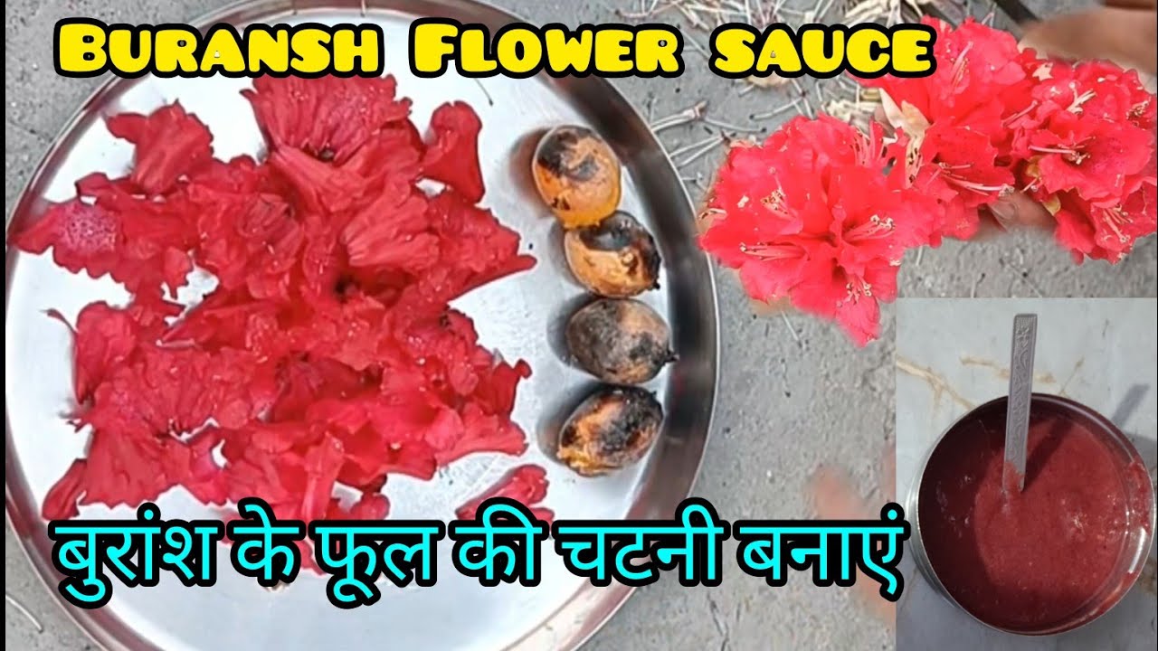 Buransh Flower Sauce | बुरांश के फूल की चटनी | banefit of buransh ...