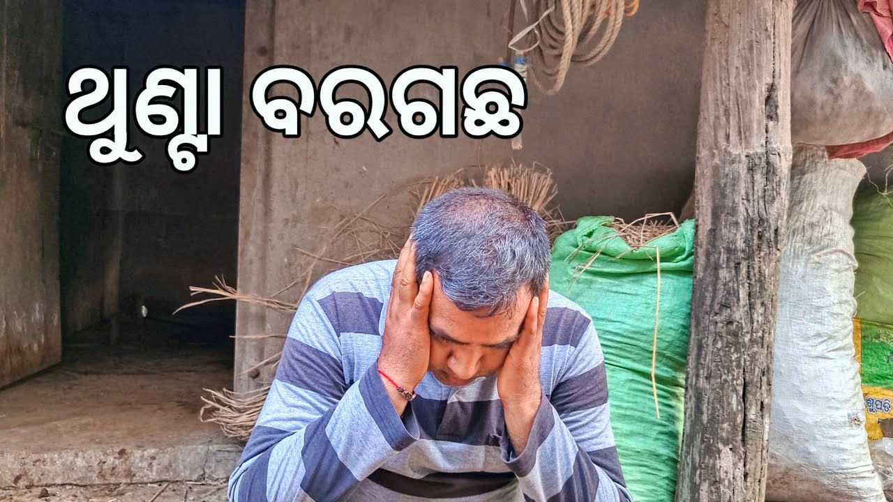 ଥୁଣ୍ଟା ବରଗଛ 😭 l ଏହା ବ୍ଲଗ୍ ନୁହେଁ ଅନ୍ତର ବେଦନା 🎵 l Gouranga Nayak Odia ...