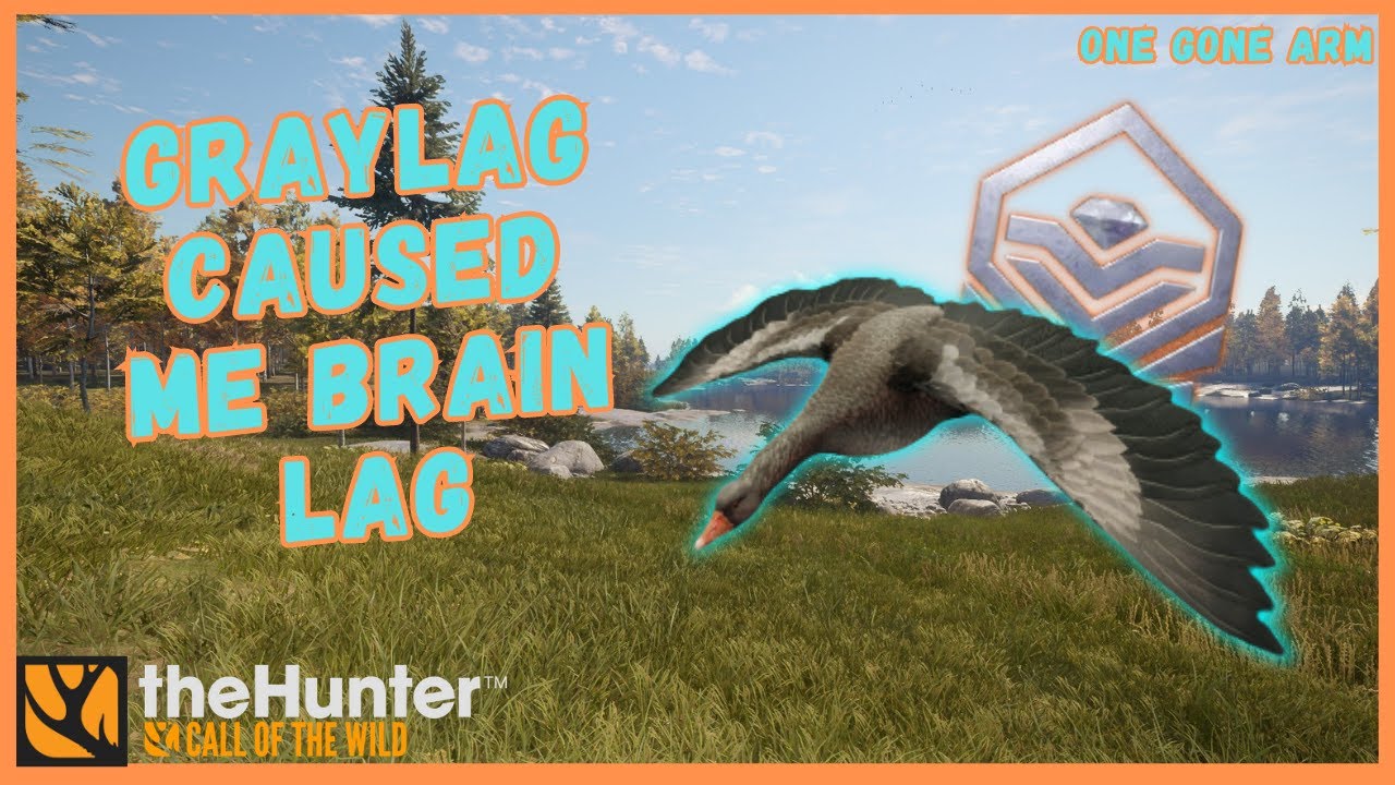 Diamond Goose Made Me Forget Something Important......... Revontuli ...