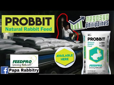RABBIT PELLETS (PROBBIT NATURAL FEED)| Negosyo Philippines - YouTube
