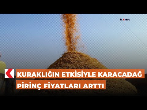 Kuraklığın etkisiyle Karacadağ pirinç fiyatları arttı