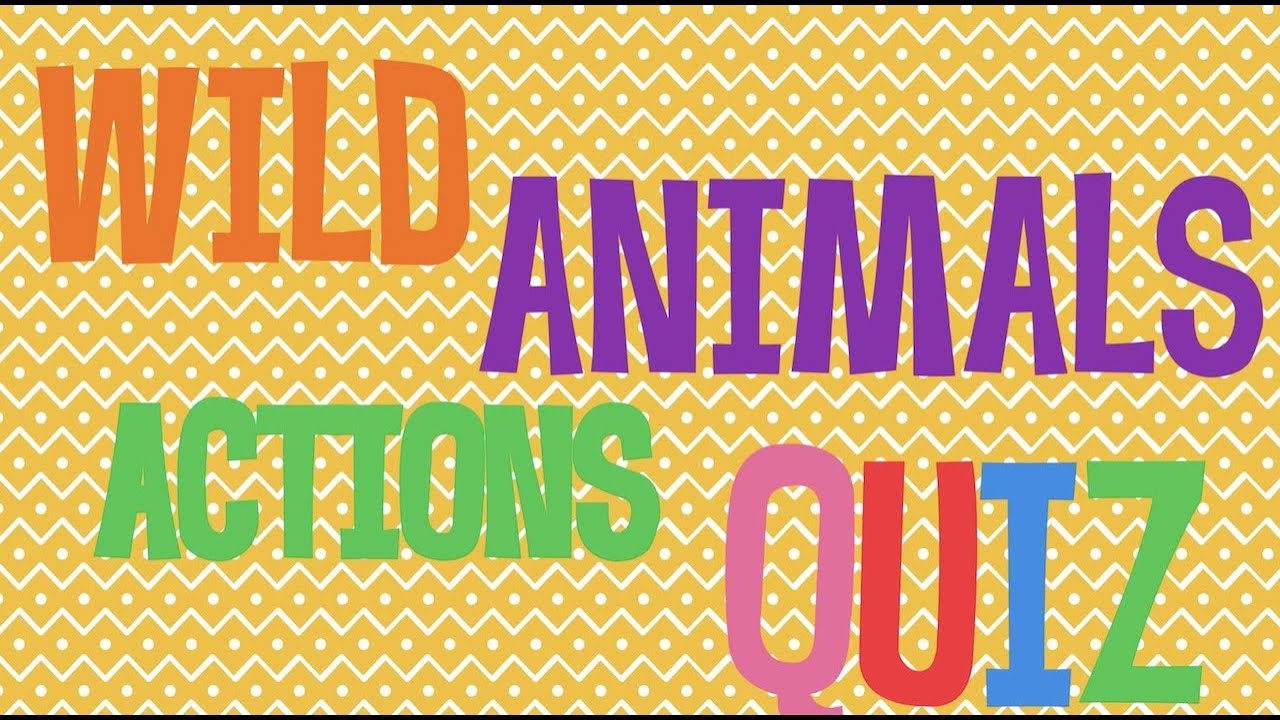 Wild animals actions quiz - YouTube
