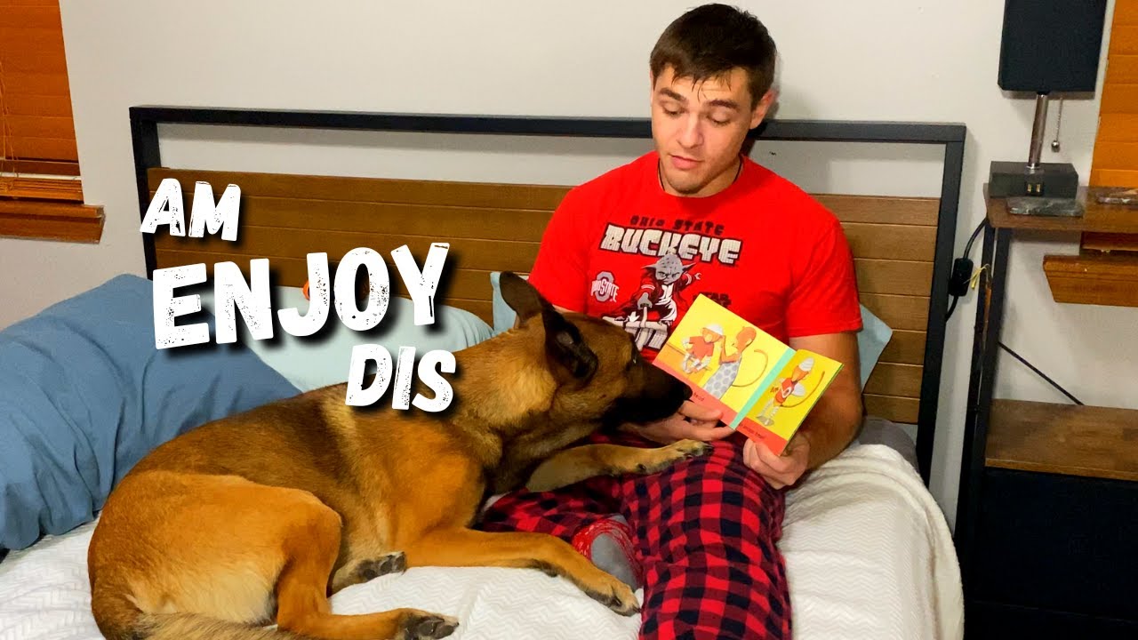 Cute Dog Loves Story Time - YouTube