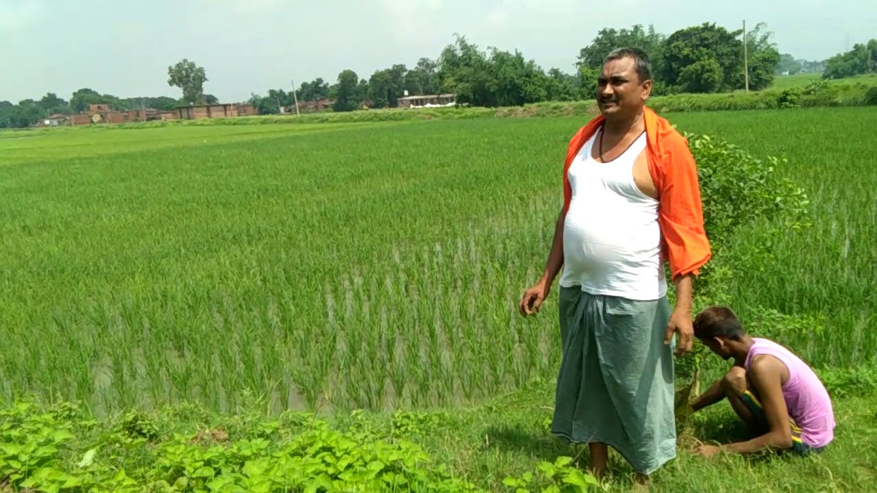 Podha ropan karte fulli gaw sabhi uwa Bhayi bandhu - YouTube