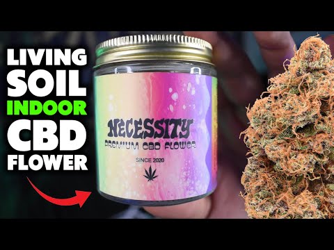 Indoor Rainbow Sherbet and Yak Butter from Necessity CBD