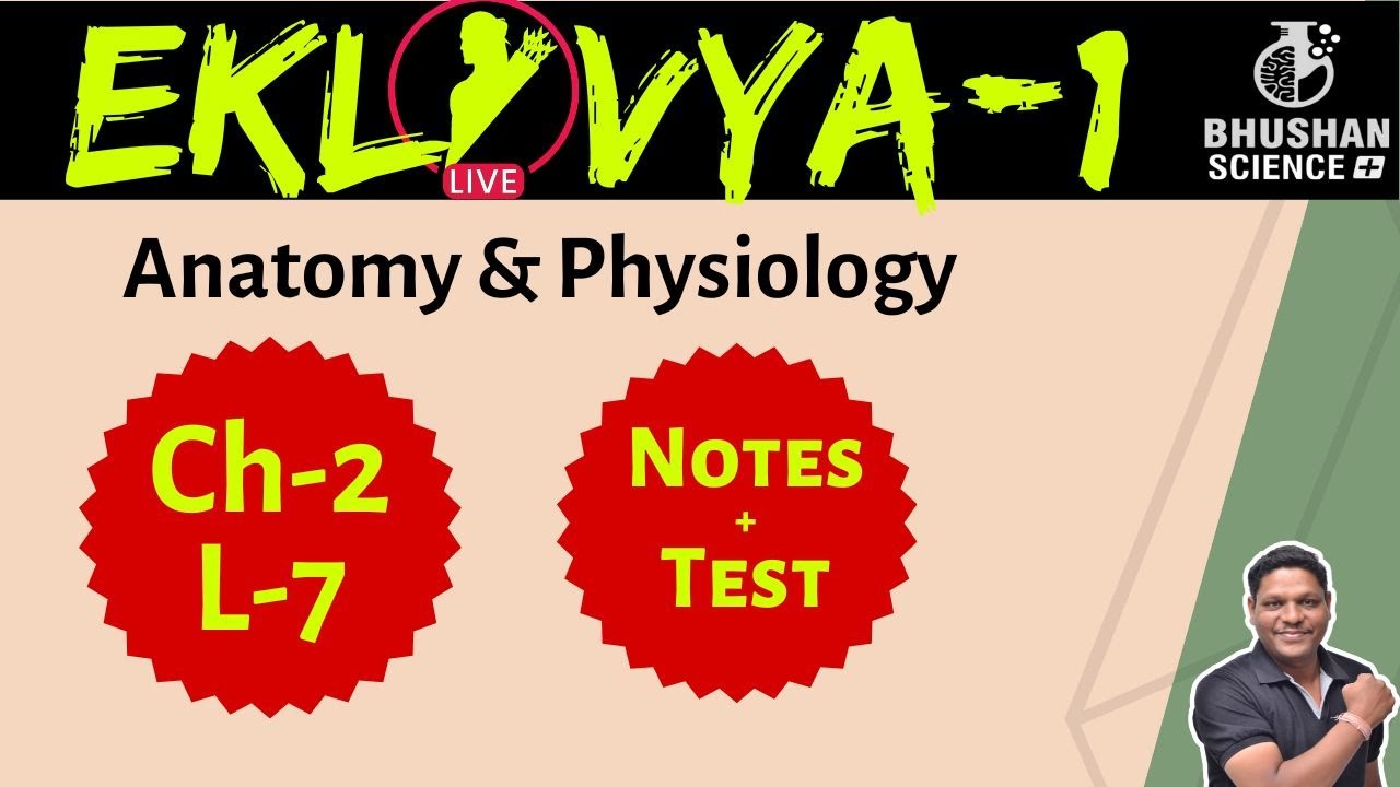 Ch 11 L 38 Nervous System Anatomy Physiology D Pharmacy 1st ch-11-l-38-nervous-system-anatomy-physiology-d-pharmacy-1st