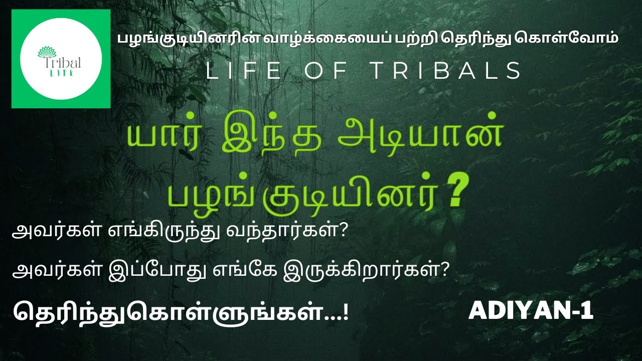 அடியான் பழங்குடியினர்|ADIYAN TRIBALS| #tribal #tribalhood #tribalhouse ...