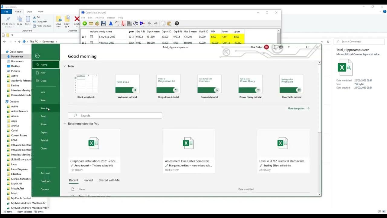 Meta Analysis in Open Meta Analyst - YouTube