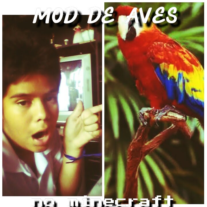 MOD DAS AVES NO MINECRAFT PE - YouTube