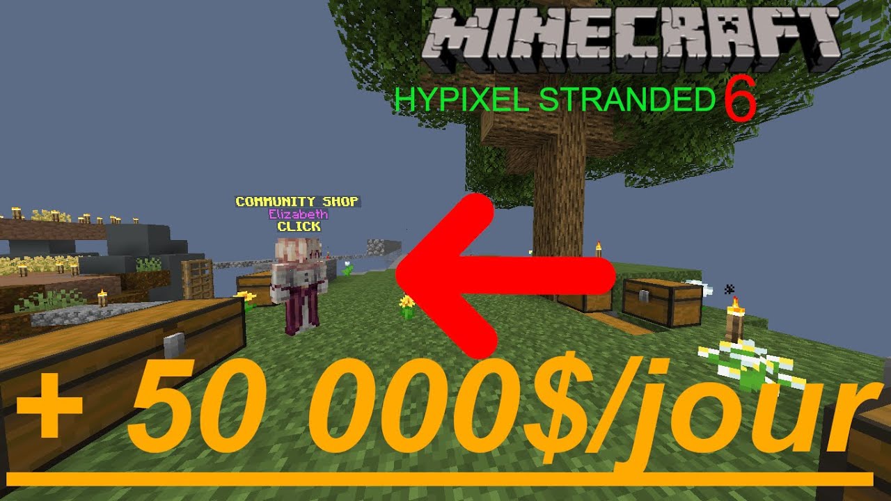 Ce PNJ est INCROYABLE !!! - Skyblock Hypixel Stranded #6 - YouTube