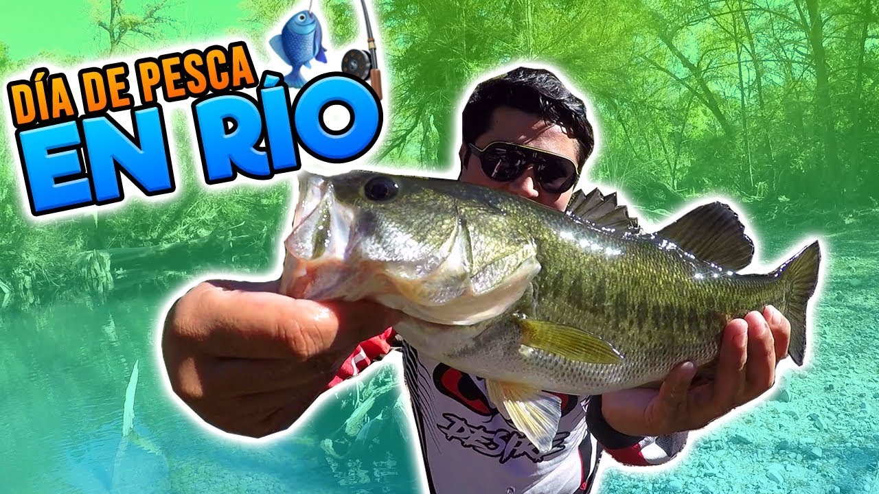 PESCA DE LOBINA EN EL RÍO - YouTube