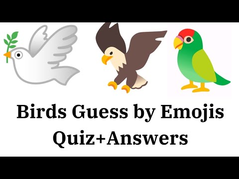 Birds Guess by Emojis Quiz+Answers - YouTube