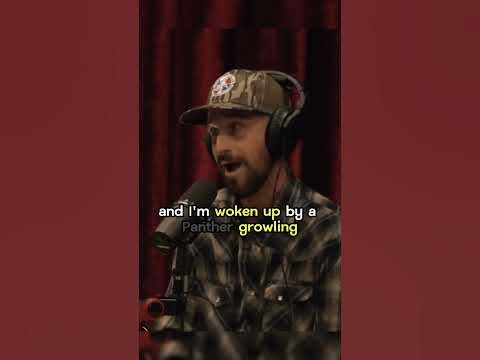 Python Cowboy talks about how he was stalked by a panther | Joe Rogan ...