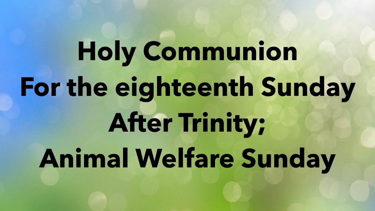 Worship for Trinity 18 Animal Welfare Sunday HD 1080p - YouTube