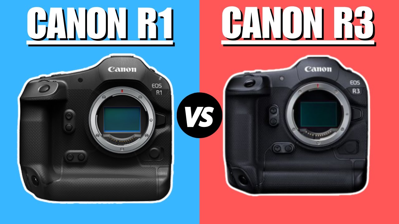 Canon R1 vs Canon R3 - Which One Is Better? - YouTube