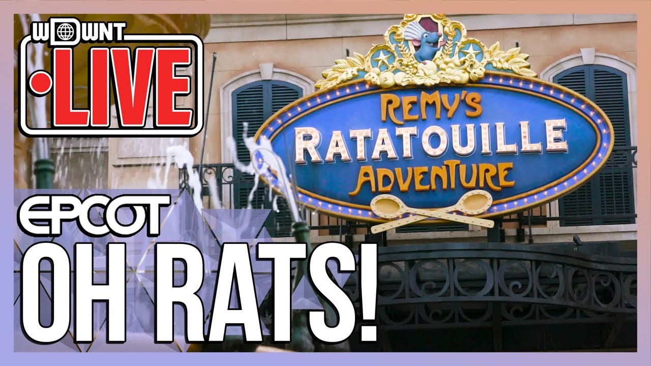 🔴LIVE: Oh, Rats! - YouTube
