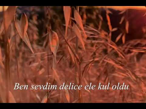 Savaş Özkök bir gönül ateşi söndüremedim şiir:yılgör atçı çello:Özcan çetik