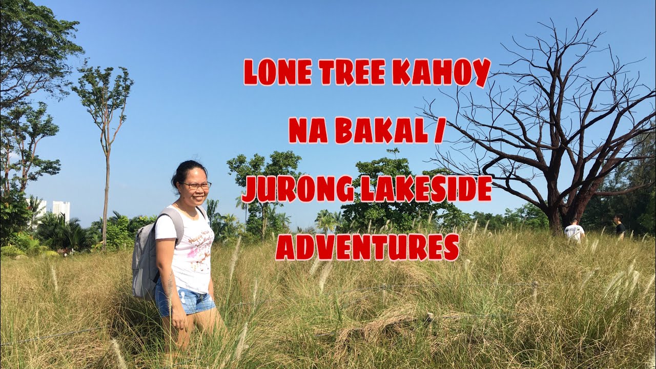 LONE TREE KAHOY NA BAKAL / JURONG LAKESIDE ADVENTURES - YouTube