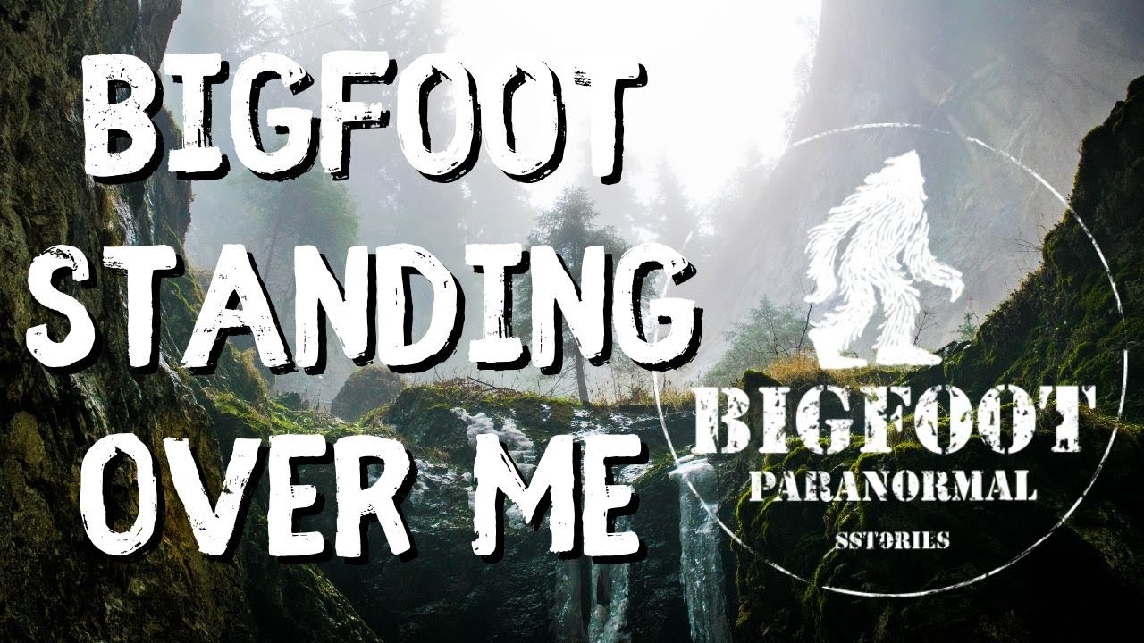 Shocked To Look Up To Find A BIGFOOT Hunched Over And Staring At Me ...