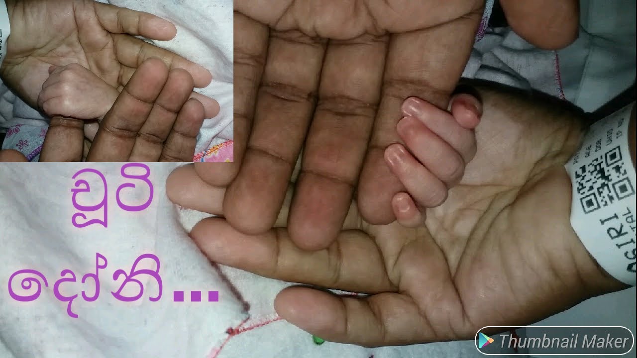චූටි දෝනි | Chuti Doni - YouTube