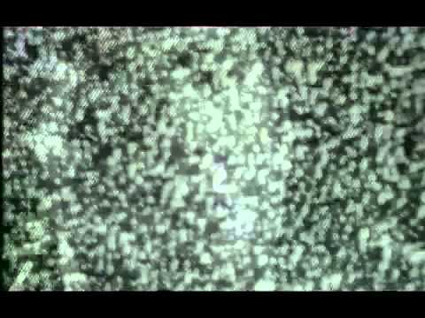 The Time Frequency [TTF] - Real Love 93 - YouTube