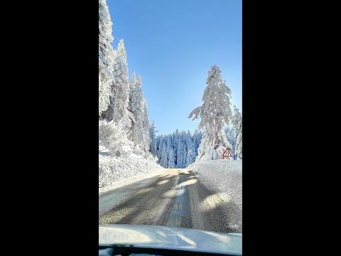 Bolu’nun Kış Yollarında Gündüz Sürüşü – Karla Kaplı Ormanların Sessizliği