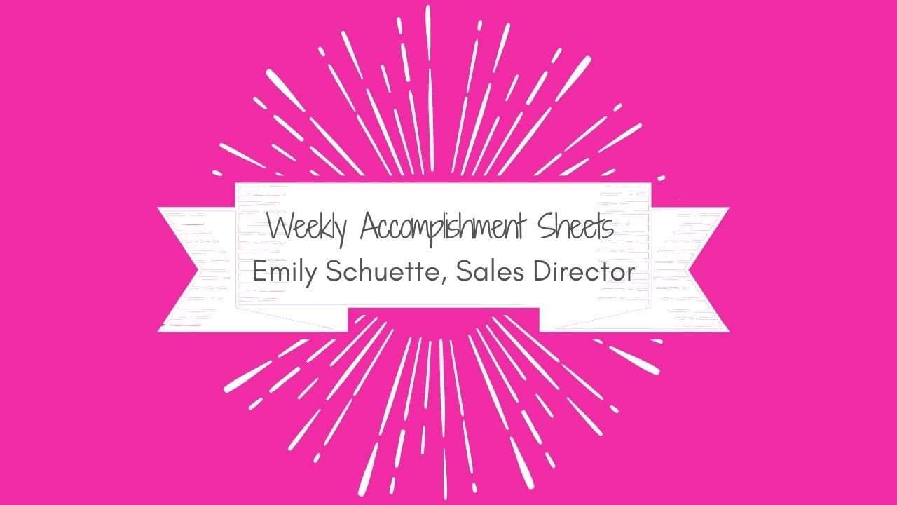 Consultants: How to fill out a weekly accomplishment sheet - YouTube